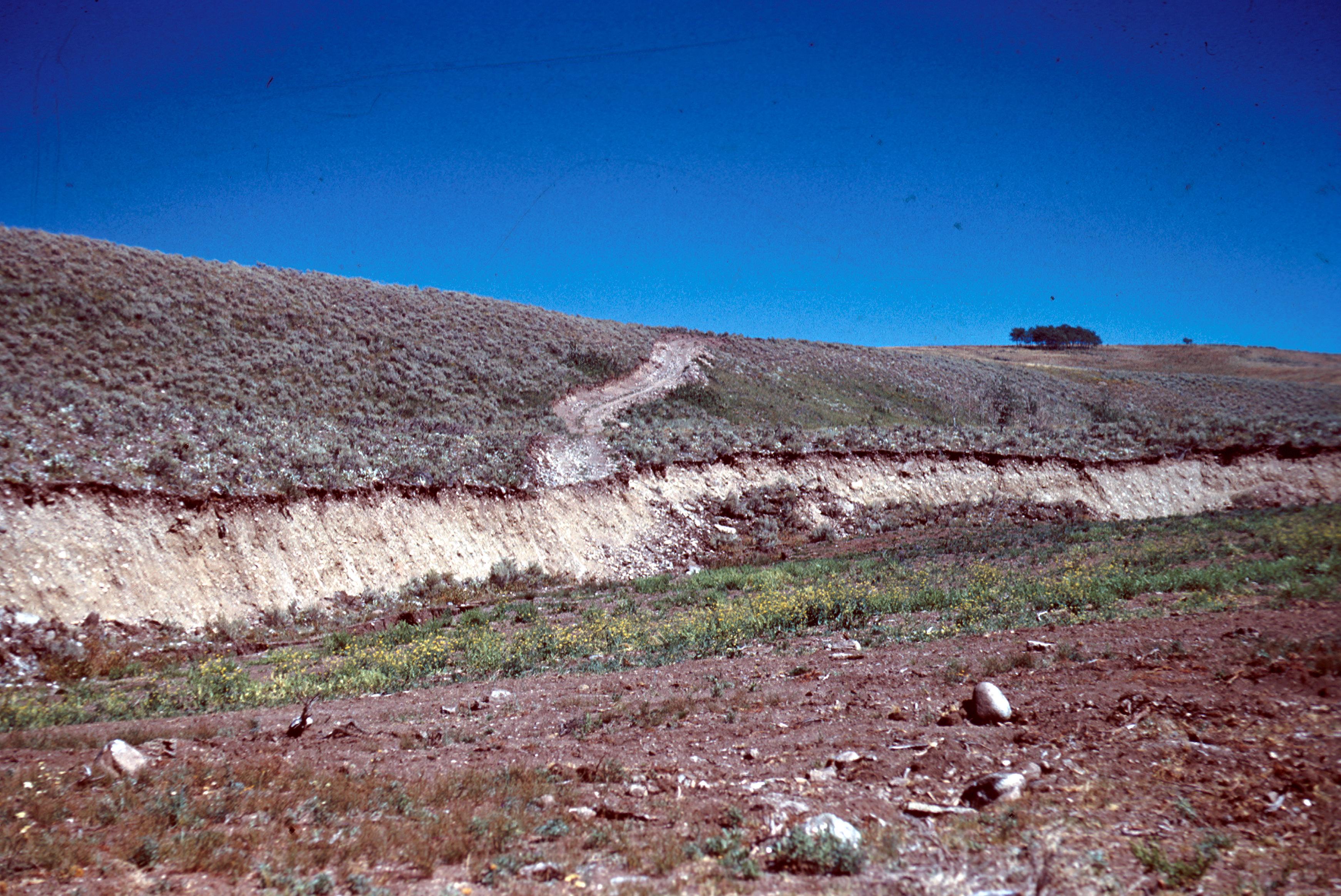 1959 Hebgen Lake Earthquake Fault Scarp