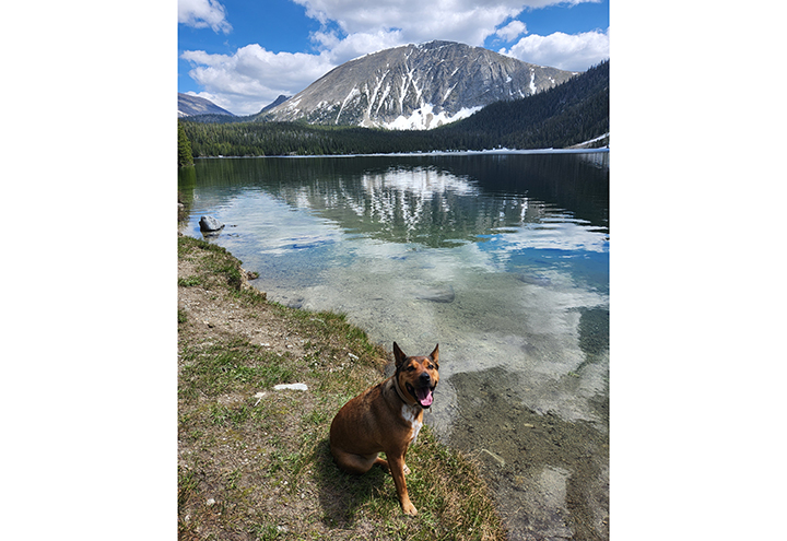 MBMG - Why Work for MBMG - About