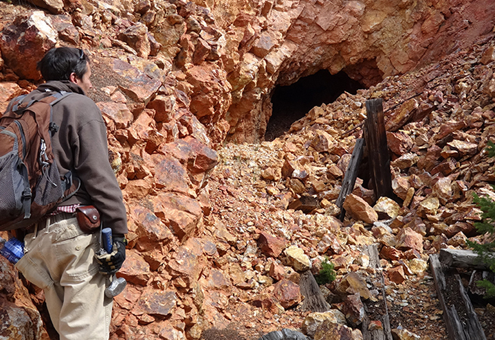 MBMG - Why Work for MBMG - About