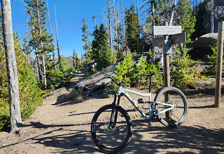 MBMG - Why Work for MBMG - About